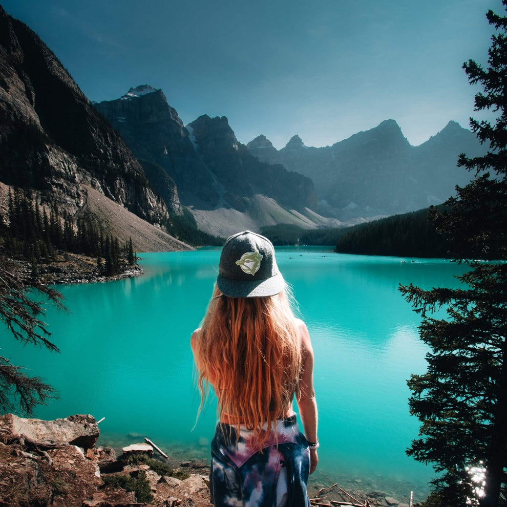 The Master Pack - Adobe Lightroom Preset Pack – Shoot To Change